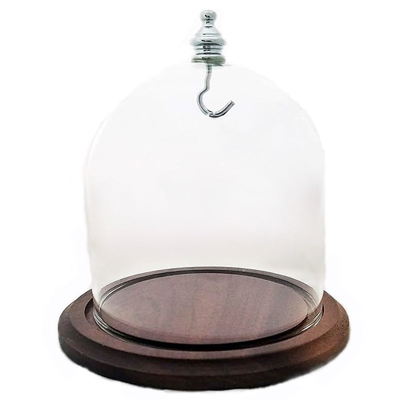 4"x4" Display Domes – Dueber Watch Co